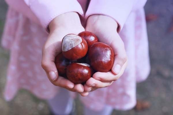 A la chasse aux marrons - Untibebe blog famille et lifestyle